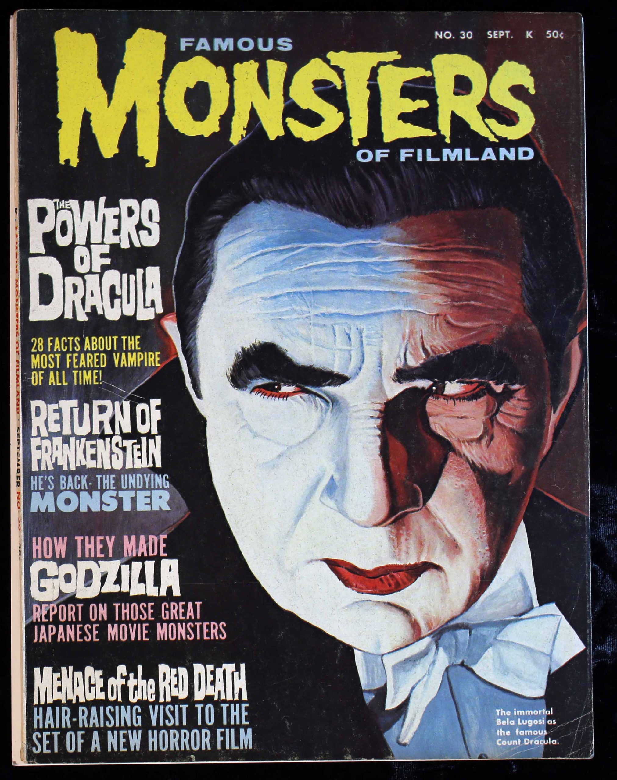 Monster Magazine Memories - The Leader's Chronicles